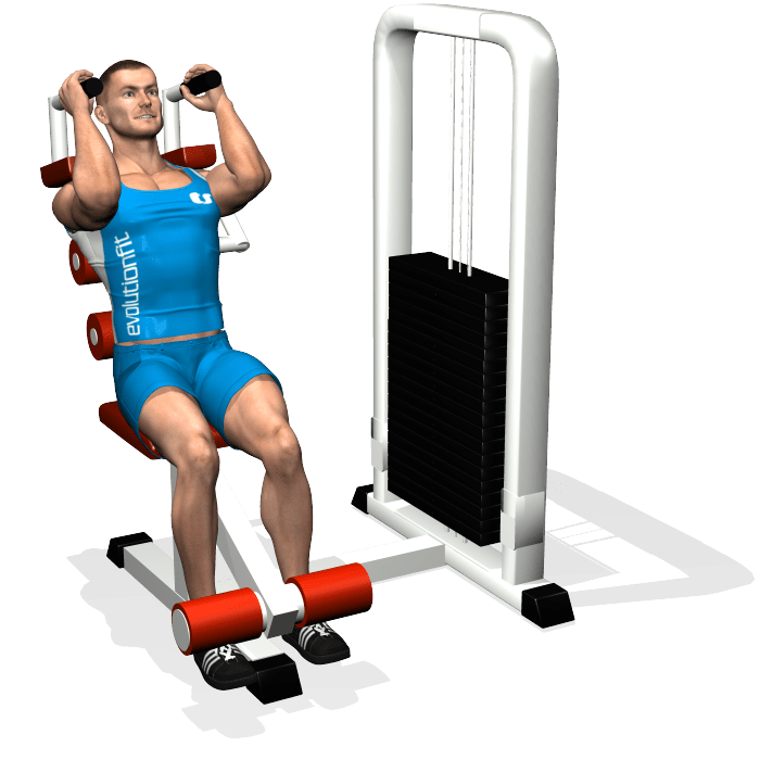 Seated Abs Crunch Machine