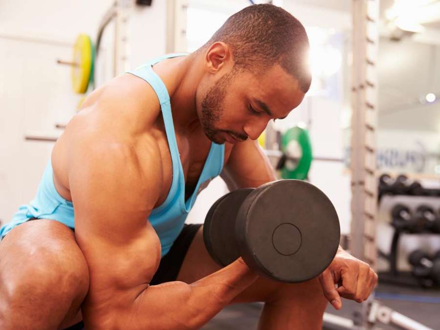 The Ultimate Guide To Seated Bicep Curl - YR Fitness